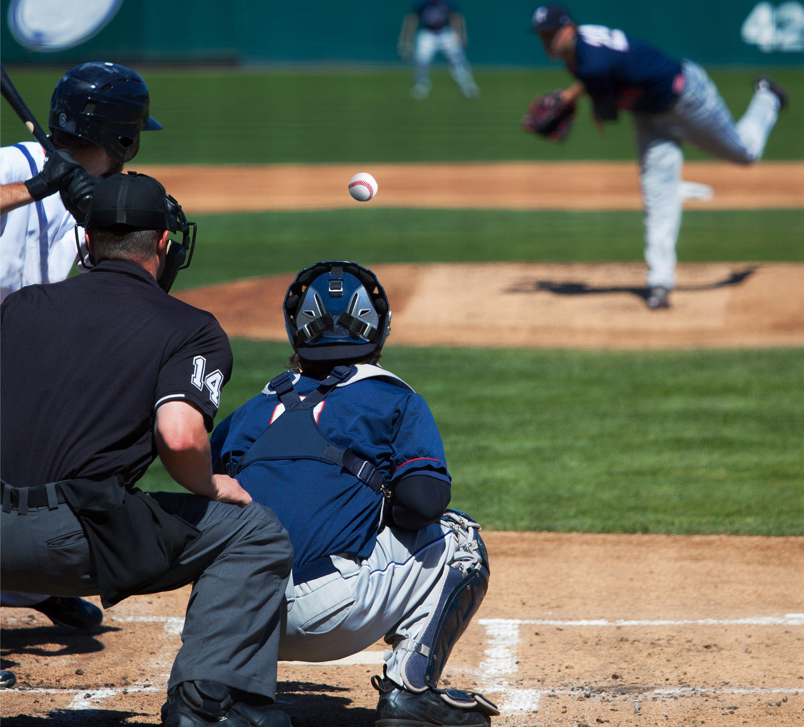 Joining Center for Higher Ambition Leadership - CellMark