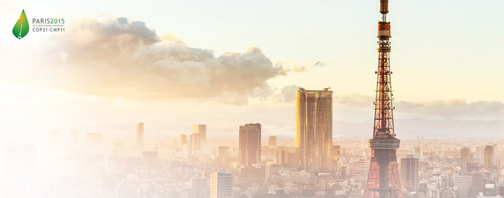 Treasures of the Forest - CellMark