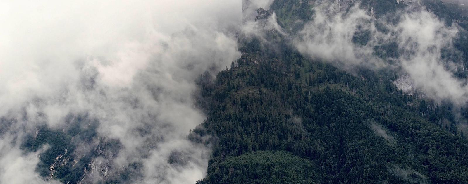 CellMark - Global Trade Made Easy