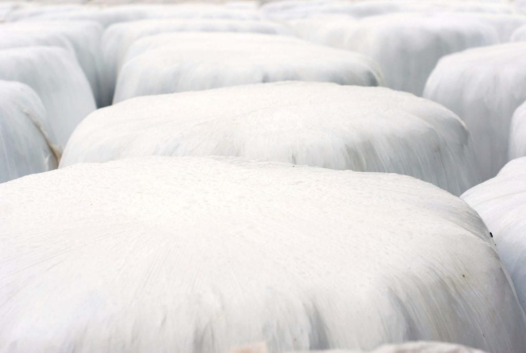 Semper CellMark - CellMark