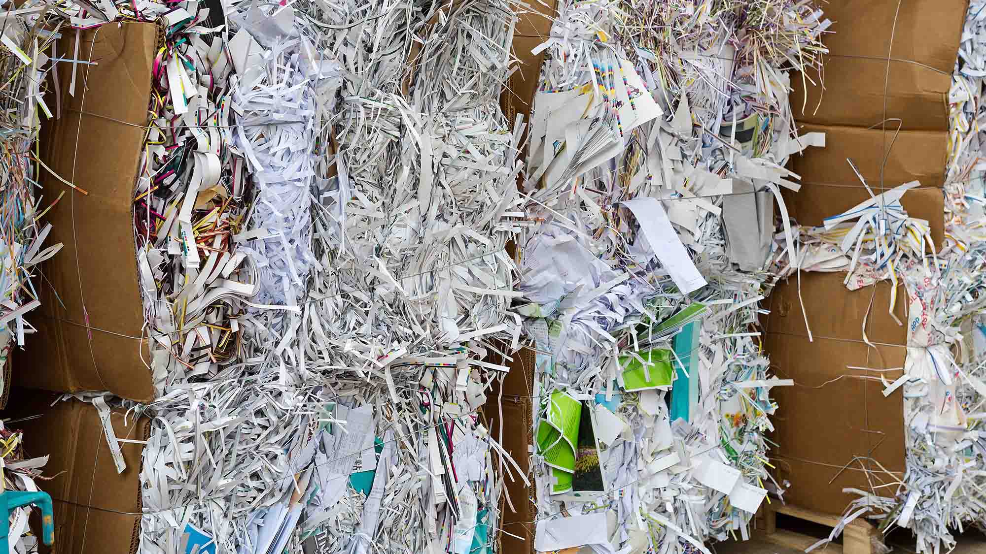 Recycling - CellMark