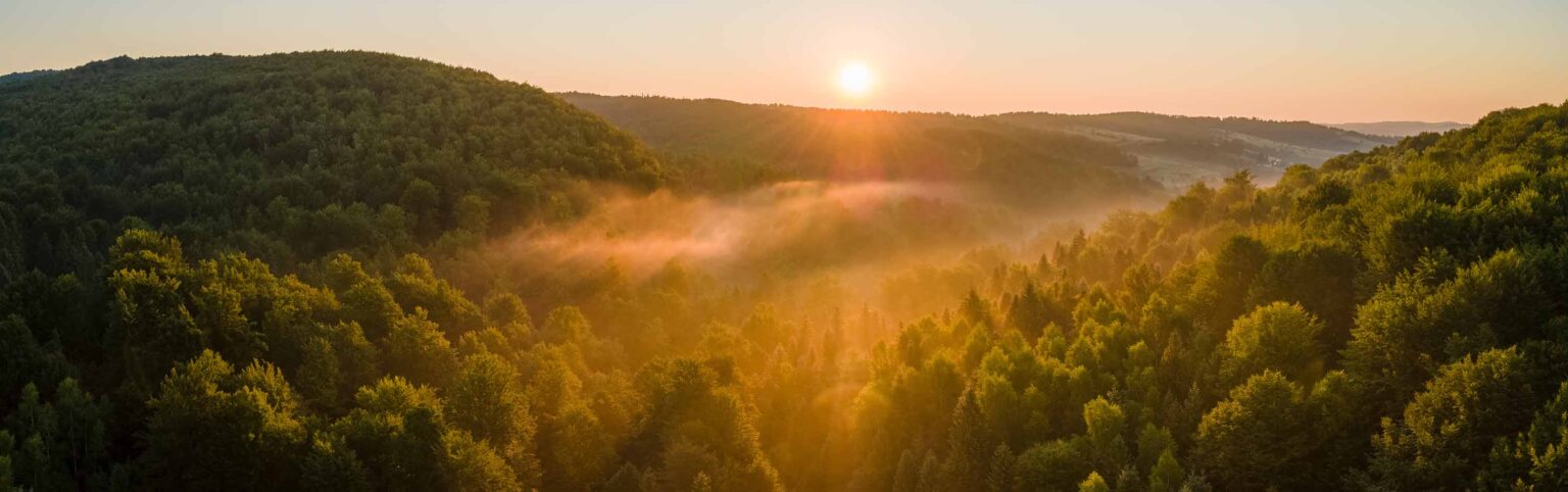 Corporate Governance - CellMark