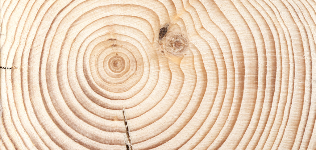 Group Management - CellMark